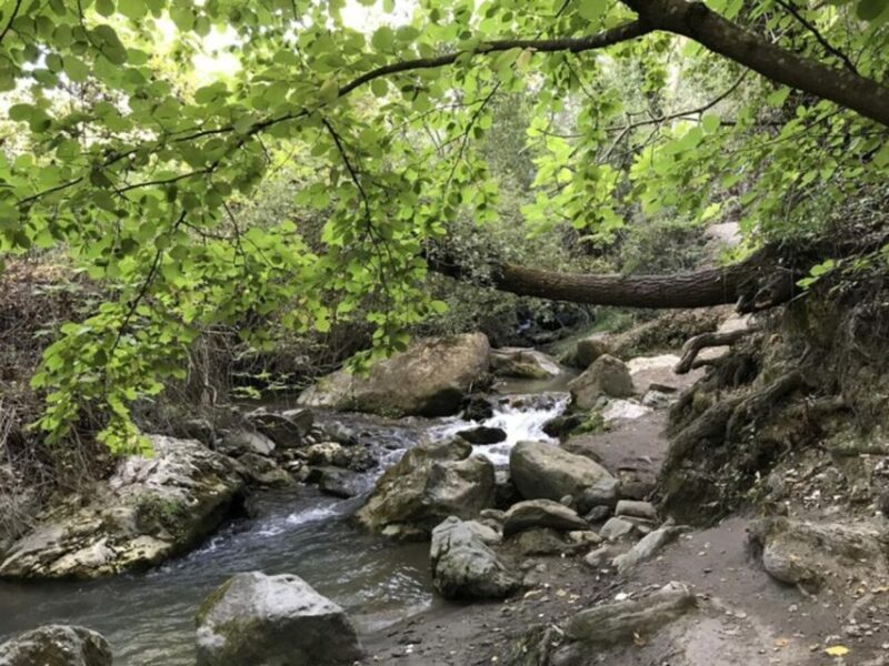 Granada: Guided Day Hike in Los Cahorros de Monachil - A Closer Look at the Tour Experience