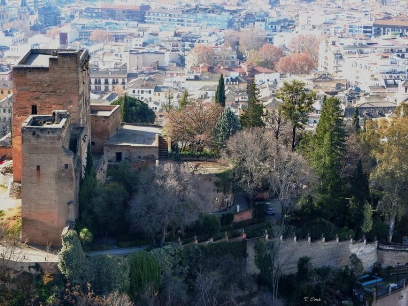 Granada: Guided Realejo Tour with Pets - An Authentic Walk Through Granada’s Realejo Neighborhood