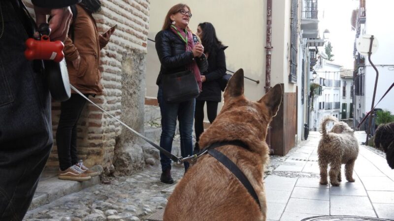 Granada: Guided Realejo Tour with Pets - The Experience and What Makes It Stand Out