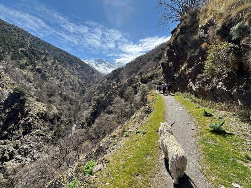 Granada: High Sierra Nevada Hiking Tour to 3000 Meters - The Hike Itself: From 2,500 to 3,000 Meters