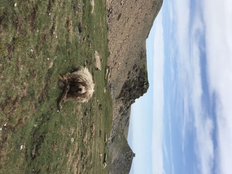 Granada: High Sierra Nevada Hiking Tour to 3000 Meters - The Experience You’ll Remember