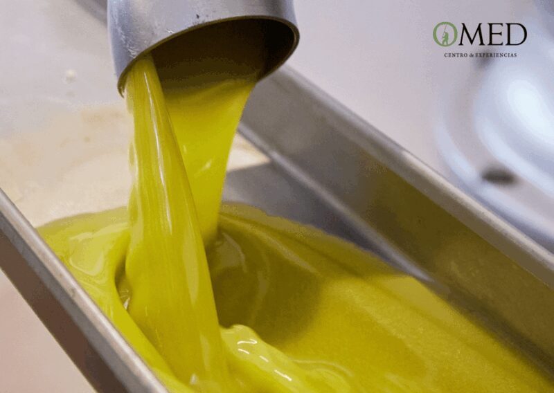 Granada in EVOO: Guided tour and unique sensorial tasting - Why Travelers Recommend This Experience
