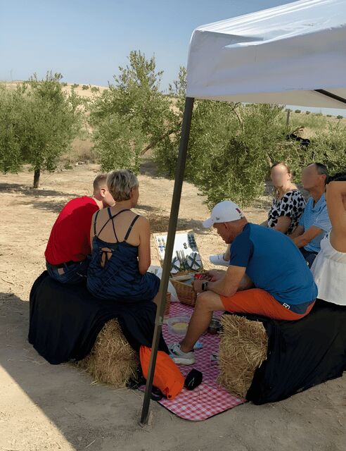 Granada in EVOO: Picnic among olive trees and unique views - Key Points