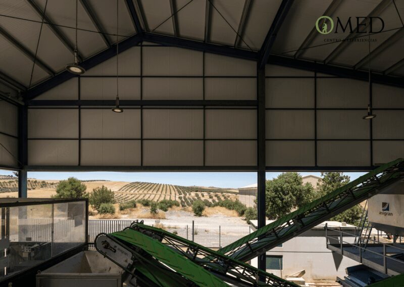 Granada in EVOO: Picnic among olive trees and unique views - The Practicalities: Price, Duration, and Accessibility