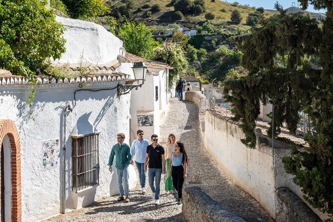 Granada in One Day with Optional Alhambra from Malaga - Who Should Consider This Tour?