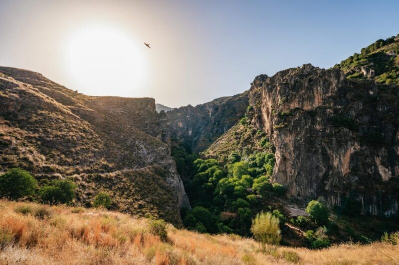 Granada: Los Cahorros de Monachil Canyon Hiking Tour - An Authentic Taste of Andalusia’s Natural Beauty