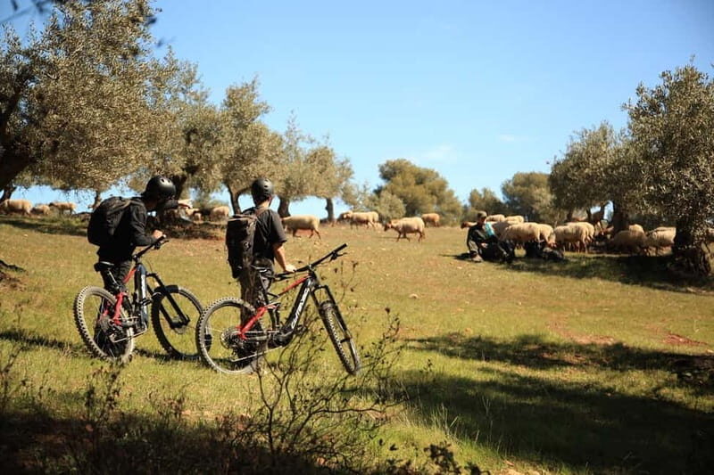 Granada: Nature, Wildlife and Authentic Villages E-bike Tour - An In-Depth Look at the Tour Experience