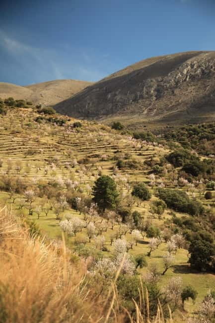 Granada: Nature, Wildlife and Authentic Villages E-bike Tour - Final Thoughts: Is It Worth It?