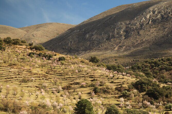 Granada: Nature, Wildlife and Authentic Villages E-bike Tour - Exploring the Itinerary: What You’ll Experience