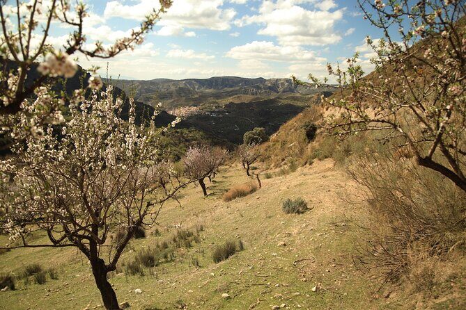 Granada: Nature, Wildlife and Authentic Villages E-bike Tour - Potential Drawbacks