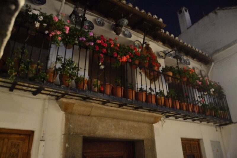 Granada: Sacromonte Caves Flamenco Show - What to Expect from the Flamenco Experience