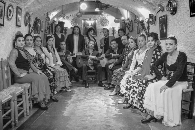 Granada: Sacromonte Caves Flamenco Show with Dinner - Who Will Love This Experience?