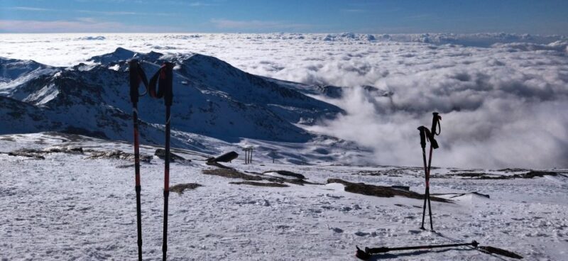Granada: Sierra Nevada Veleta Peak Trek with Lunch - Who Will Love This Experience?
