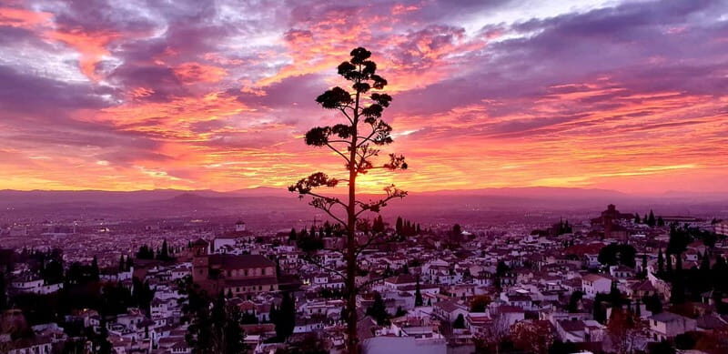 Granada: "Street Art & The Caves" Unique Guided Walking Tour - Final Thoughts