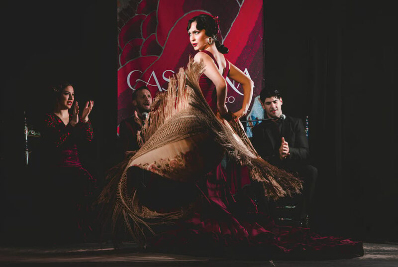 Granada: Traditional Flamenco Show at Tablao Casa Ana - Practical Details and Tips