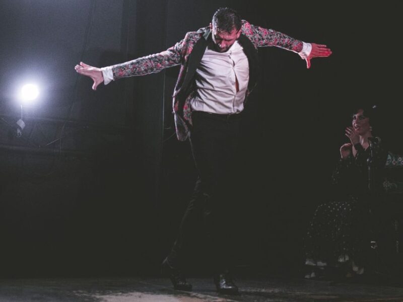 Granada: Traditional Flamenco Show at Tablao Casa Ana - Who Should Consider This Tour?
