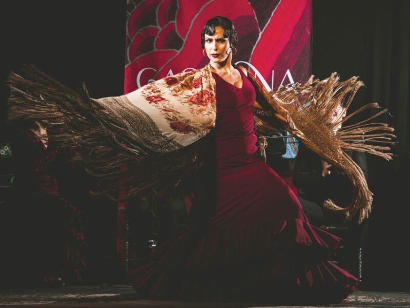 Granada: Traditional Flamenco Show at Tablao Casa Ana - Final Thoughts