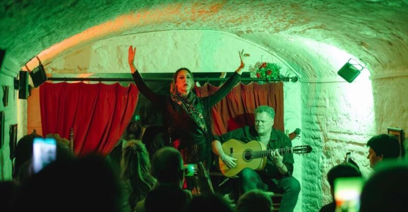 Granada: Traditional Flamenco Show in a Cave Entry Ticket - Who Will Love This Experience?