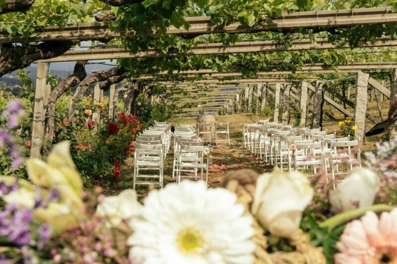 Granbazán Winery: Guided Tour and Wine Tasting - Final Thoughts: Is It Worth Your Time and Money?