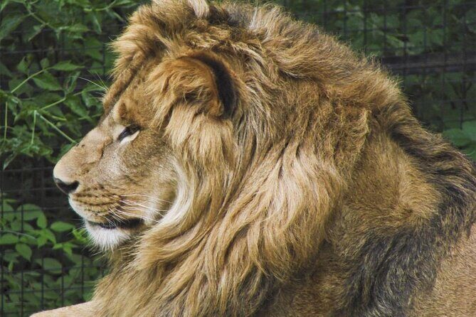 Granby Zoo 1 Day - Review Insights: What Travelers Say