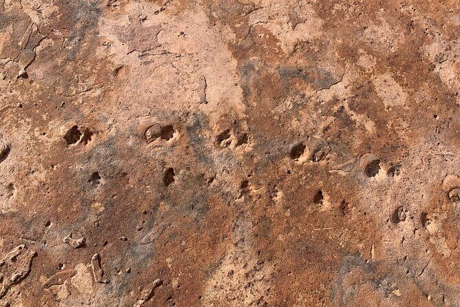 Grand Canyon Biblical Creation Hiking Tour  South Kaibab Trail - FAQ