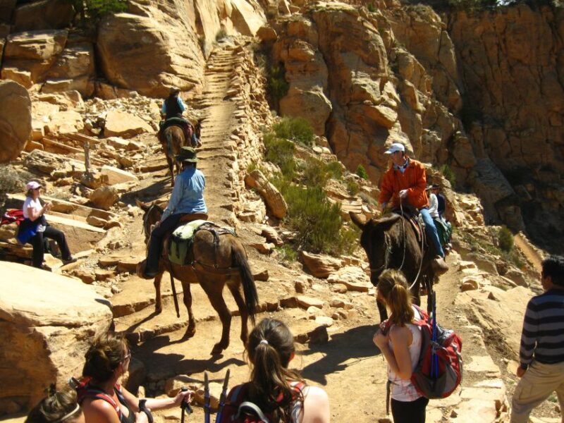 Grand Canyon Full-Day Hike from Sedona or Flagstaff - Key Points