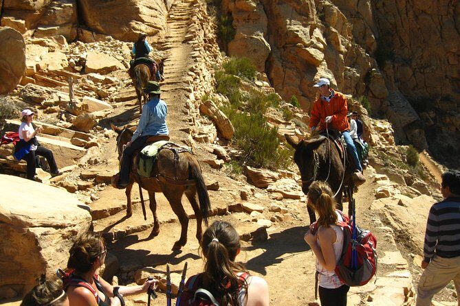 Grand Canyon Hike from Sedona or Flagstaff with 7 Guest Limit - Practical Tips for Future Hikers