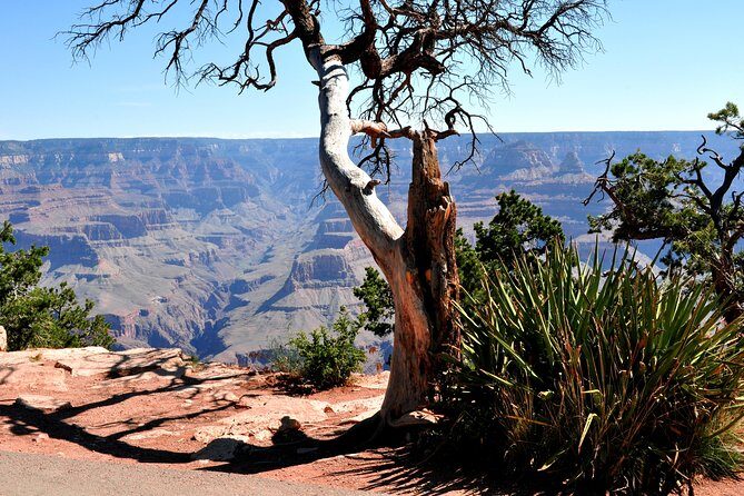 Grand Canyon National Park VIP Tour from Las Vegas - Key Points