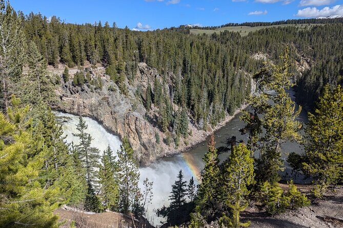 Grand Canyon of Yellowstone Hiking Adventure Full Day with Lunch - The Experience and Logistics