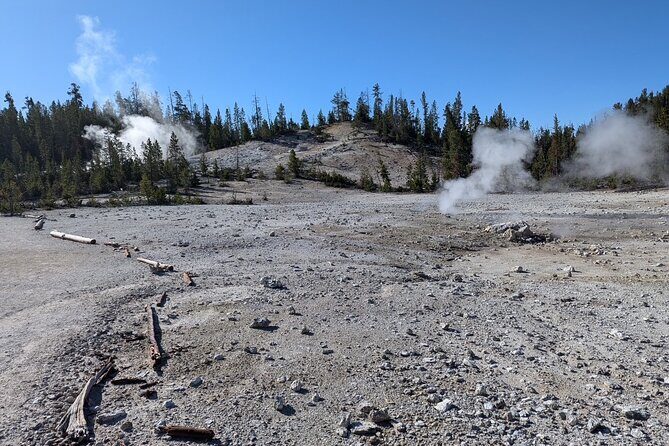 Grand Canyon of Yellowstone Hiking Adventure Full Day with Lunch - What Travelers Say