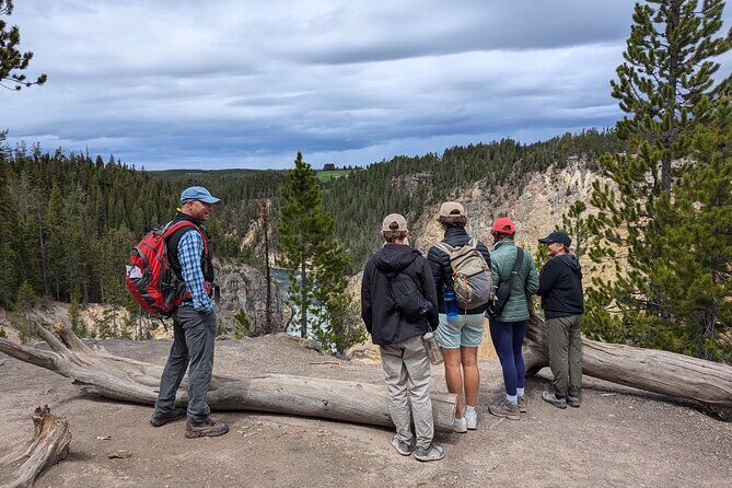 Grand Canyon of Yellowstone Hiking Adventure Full Day with Lunch - The Practicality and Overall Value