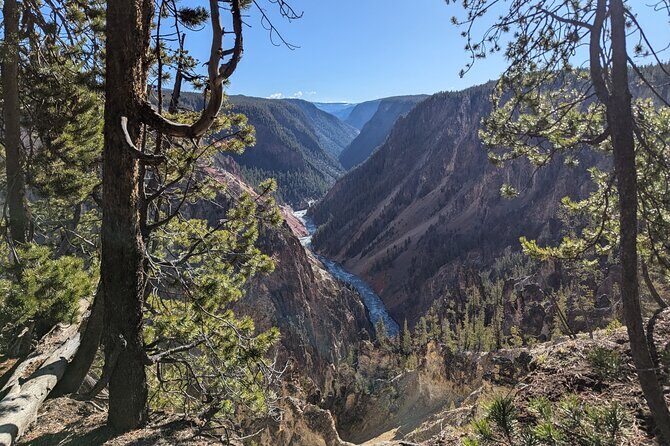 Grand Canyon of Yellowstone Hiking Adventure Full Day with Lunch - Who Will Most Appreciate This Tour?