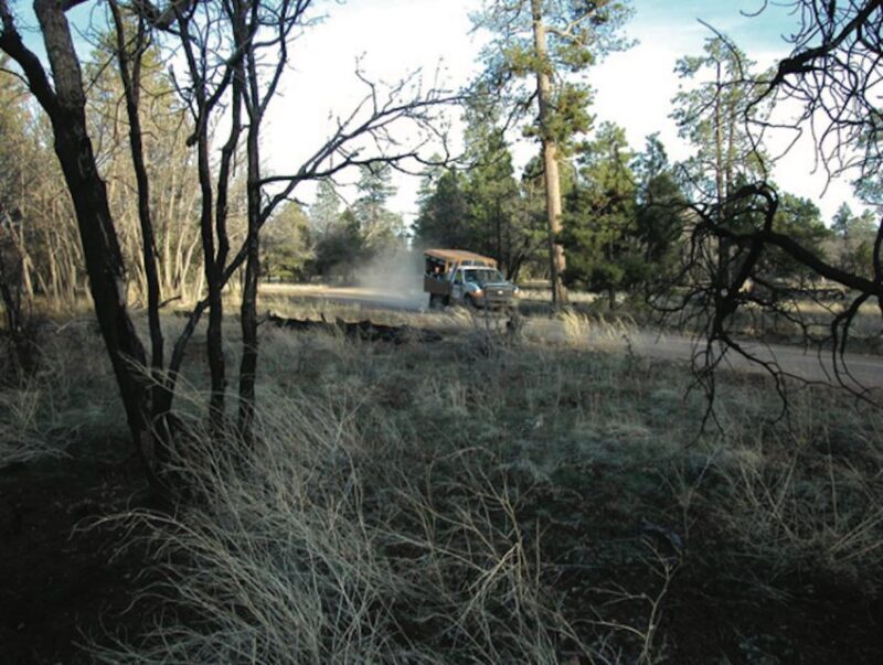 Grand Canyon: Off-Road Sunset Safari with Skip-the-Gate Tour - Final Thoughts