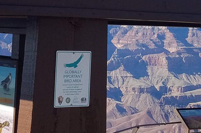Grand Canyon Tour from Williams - Exploring the Grand Canyon from Williams: An Honest Review