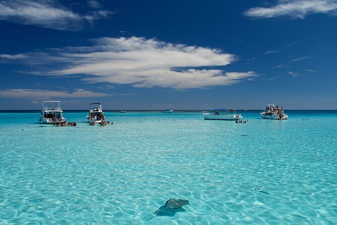 Grand Cayman 2-Stop Snorkeling and Stingray City Combo Adventure - What Travelers Say