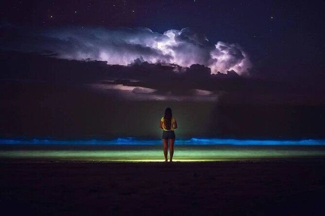 Grand Cayman Bioluminescence Adventure - An In-Depth Look at the Tour Itinerary