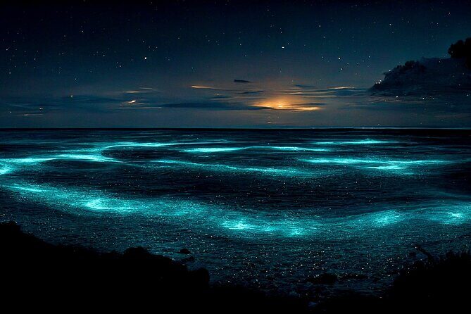 Grand Cayman Bioluminescence Adventure - The Practicalities: Timing, Group Size, and Weather