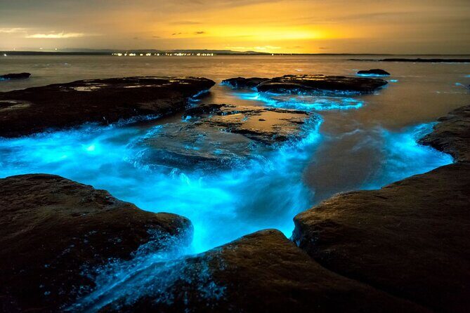Grand Cayman Bioluminescence Adventure - The Value for Your Money