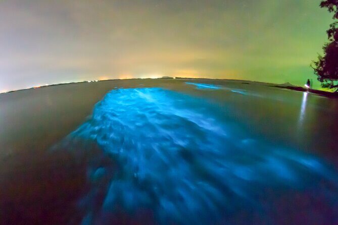 Grand Cayman Bioluminescence Adventure - Frequently Asked Questions