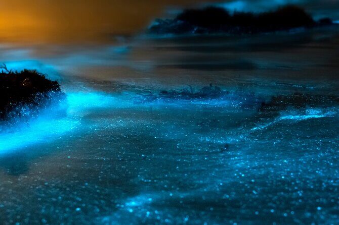 Grand Cayman Bioluminescence Experience - Who Should Consider This Tour?