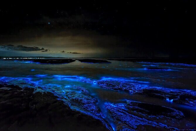 Grand Cayman Bioluminescent Bay Tour - FAQ