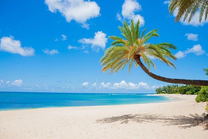 Grand Circle Island Tour - Key Points