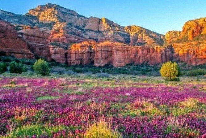 Grand Experience First Class Railroad Excursion Flagstaff - Is This Tour Right for You?