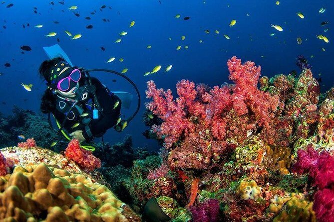 Grand Island Adventure: Diving and Water Sports Thrills - What to Expect from the Grand Island Adventure