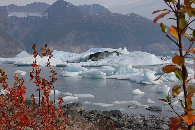 Grand Knik Helicopter Tour - 2 hours 3 landings - ANCHORAGE AREA - Authentic Reviews & Guest Perspectives