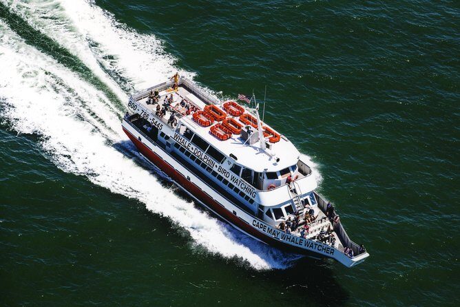 Grand Lighthouse Tour from Cape May - The Experience of the Water View