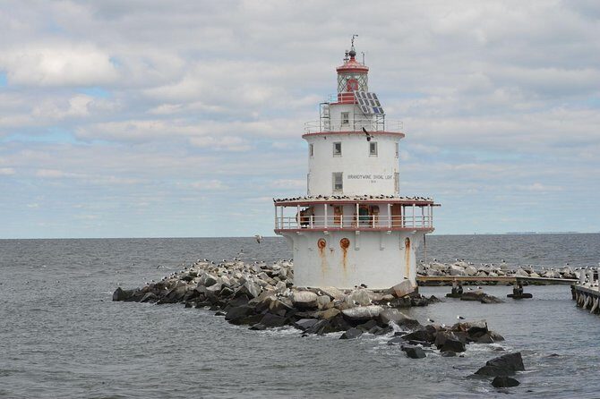 Grand Lighthouse Tour from Cape May - Cost and Value: Is It Worth It?