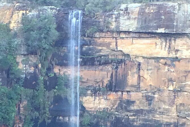 Grand Pacific Drive and Southern Highlands Tour - Authentic Local Flavor and Surprises