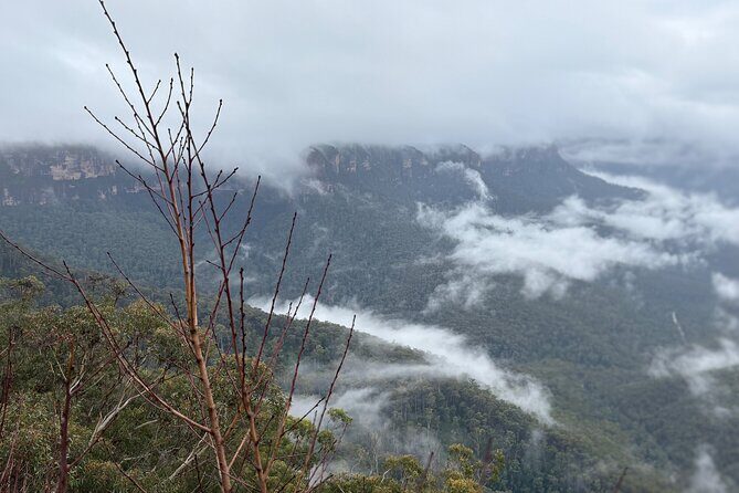 Grand Pacific Drive and Southern Highlands Tour - Pricing and Value