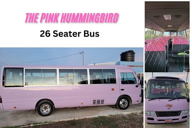 Grand Palladium MBJ Airport Private Transfer - Who Should Book This Transfer?